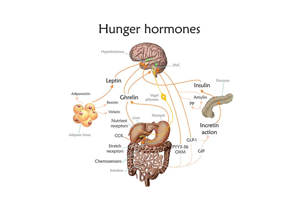 Hormones – Tana Amen BSN RN